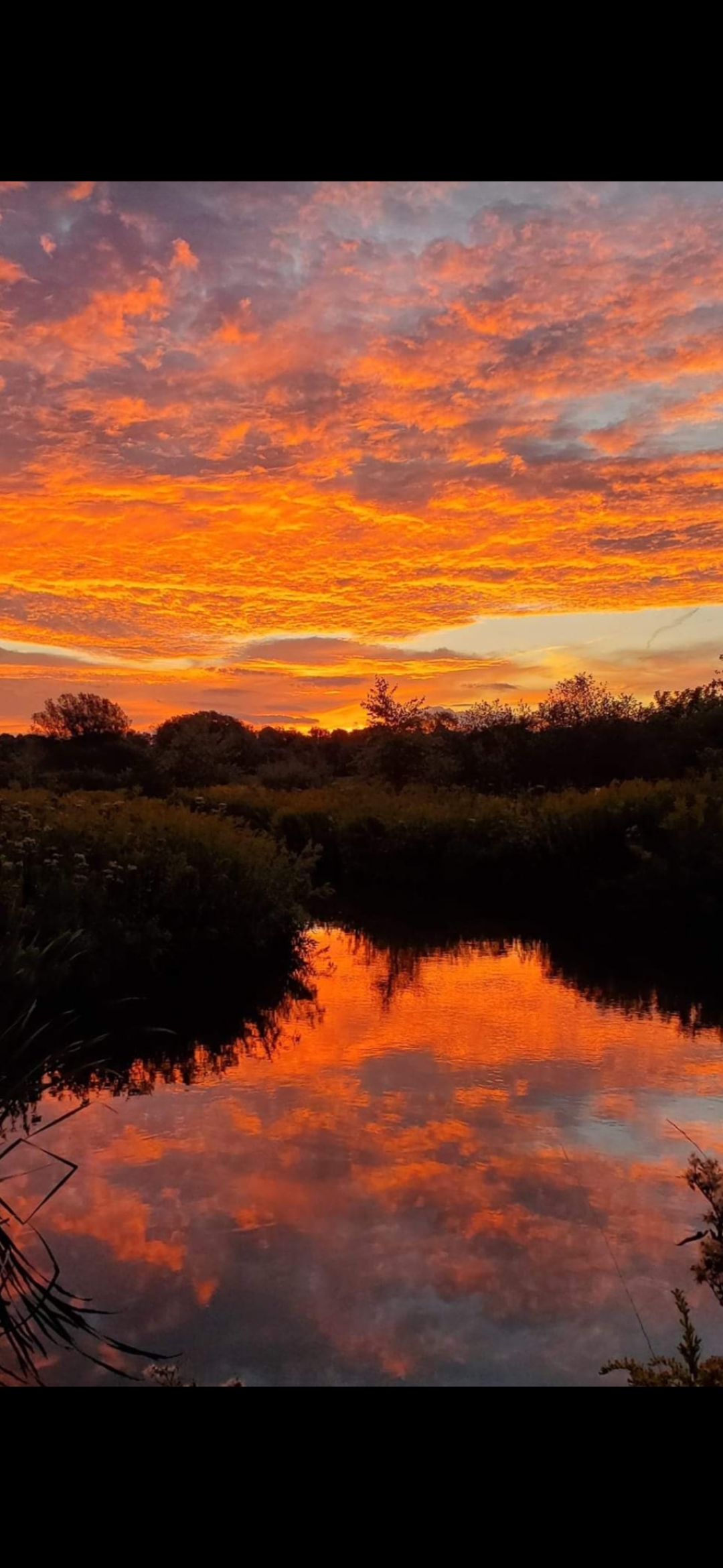 Photo Contest Entries-2024 - Phone/Tablet Entries - Western New York ...